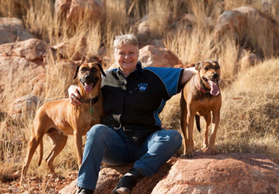 HOMELESS PETS PLAY IMPORTANT ROLES IN NEW AUSTRALIAN FEATURE RED DOG ...