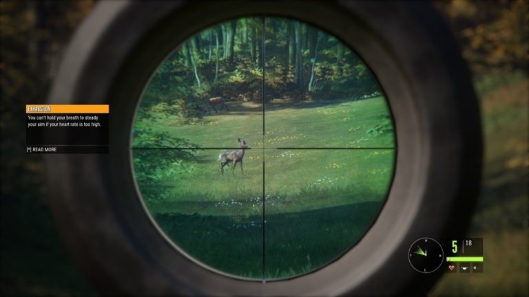 The Hunter Call of the Wild PC Review - Impulse Gamer