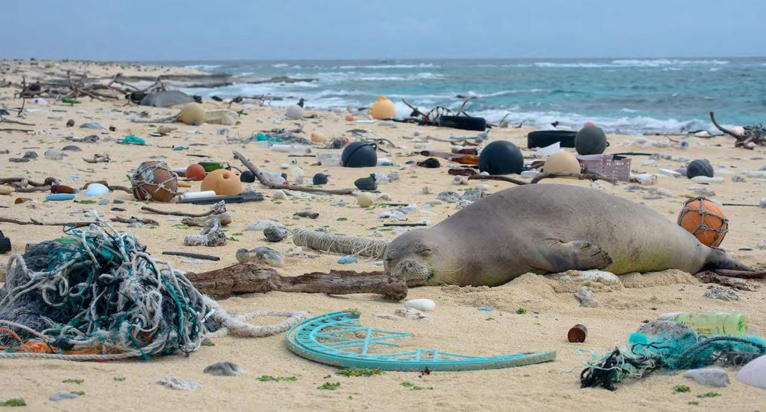 Blue - Film Review - Impulse Gamer