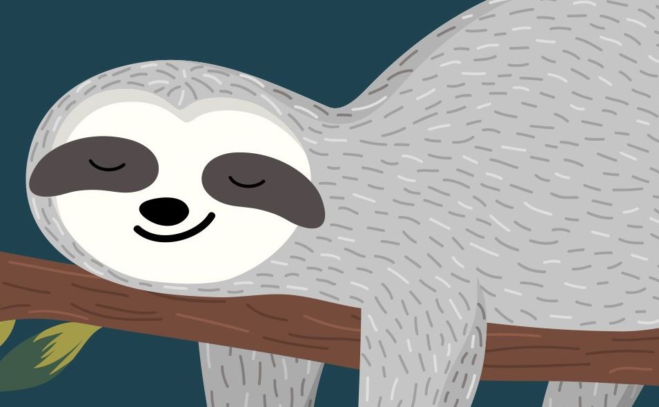 But First We Nap Book Review - Impulse Gamer