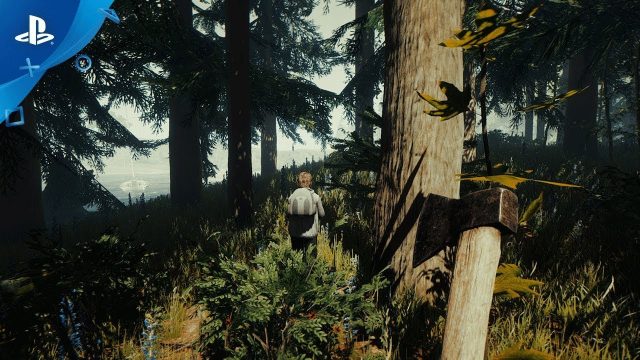 The hit indie title, The Forest comes to PlayStation - Impulse Gamer