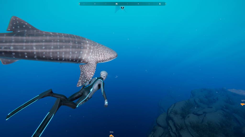 Beyond Blue PC Review - Impulse Gamer