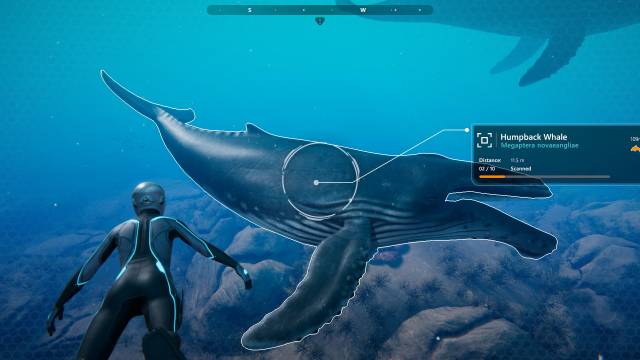 Beyond Blue PC Review - Impulse Gamer