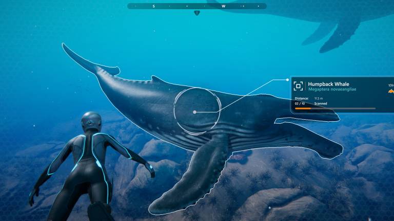 Beyond Blue PC Review - Impulse Gamer