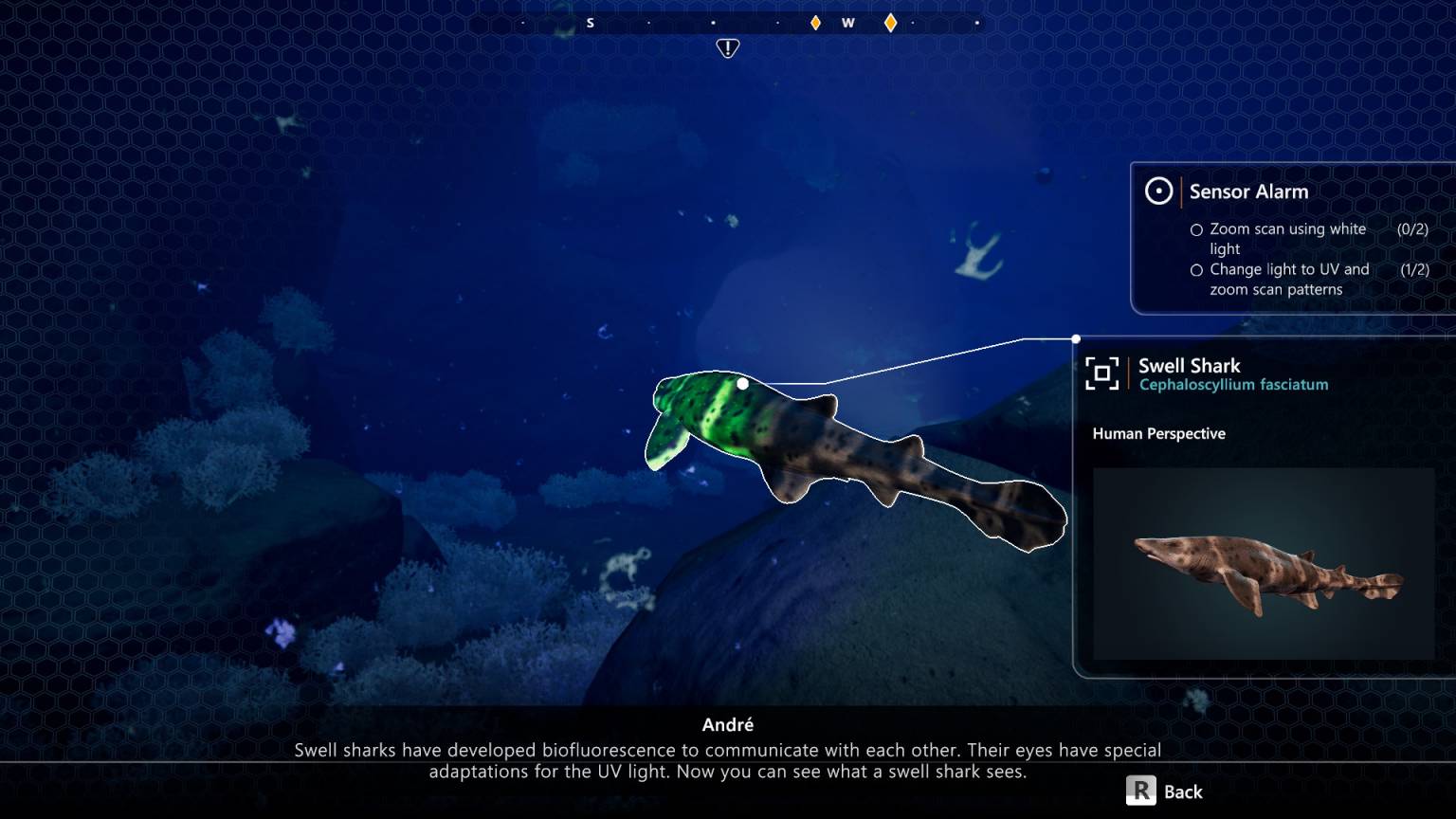 Beyond Blue PC Review - Impulse Gamer