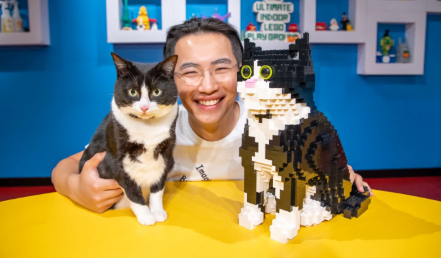 Watch this cat meet her LEGO match! - Impulse Gamer