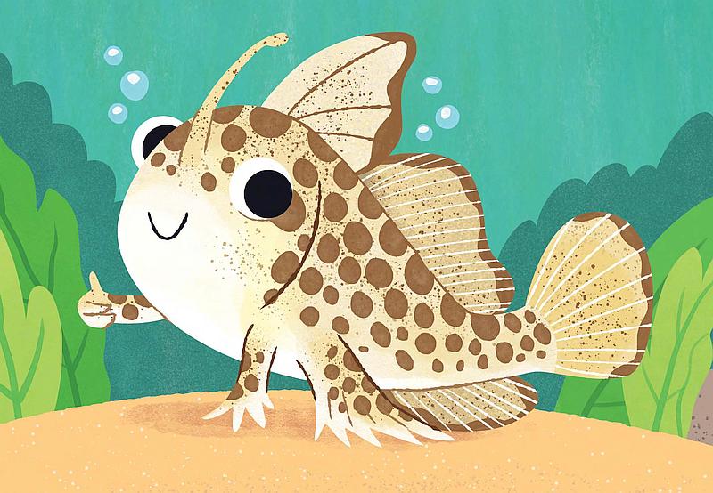 Coco the Fish with Hands Book Review - Impulse Gamer