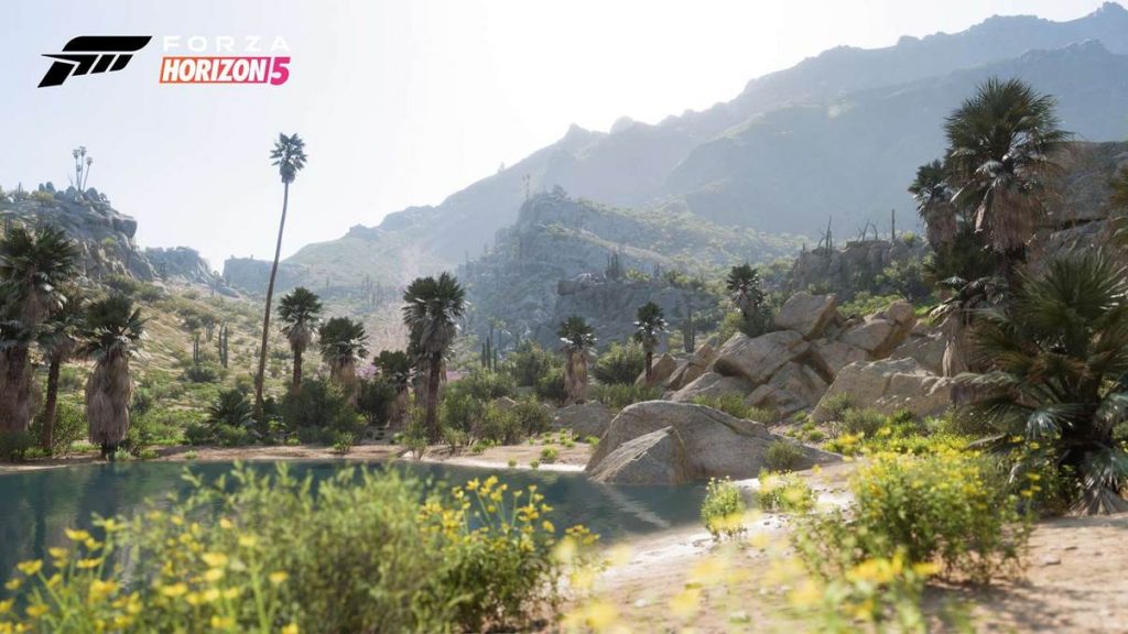 From a Living Desert to a Volcano’s Peak: Exploring Forza Horizon 5’s ...