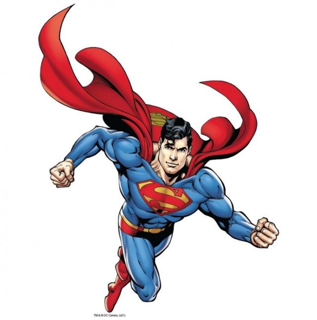 Kismet Decals Review #WW84 Hero Pose 1 Licensed Wall Sticker ...