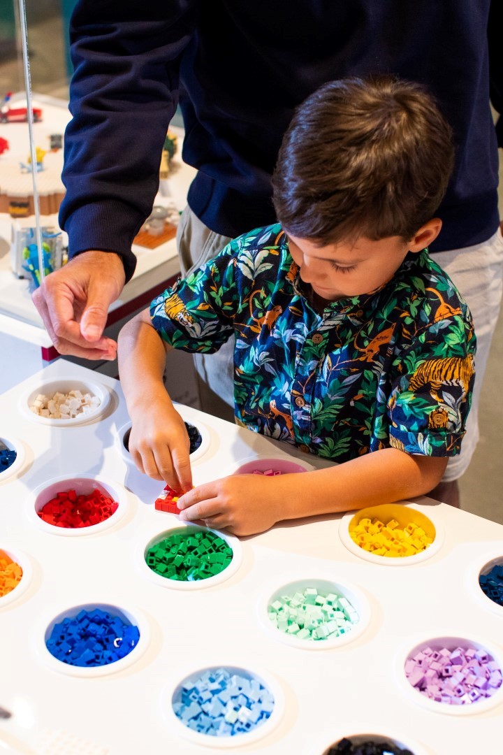 MELBOURNE MUSEUM TO HOUSE OVER 1 MILLION LEGO® BRICKS WHEN BRICKTIONARY ...