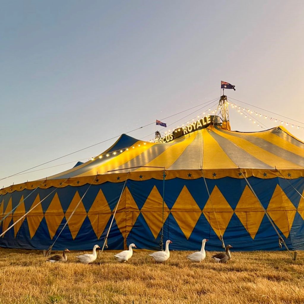 Damian Syred’s Circus Royale Review @CircusRoyale ...