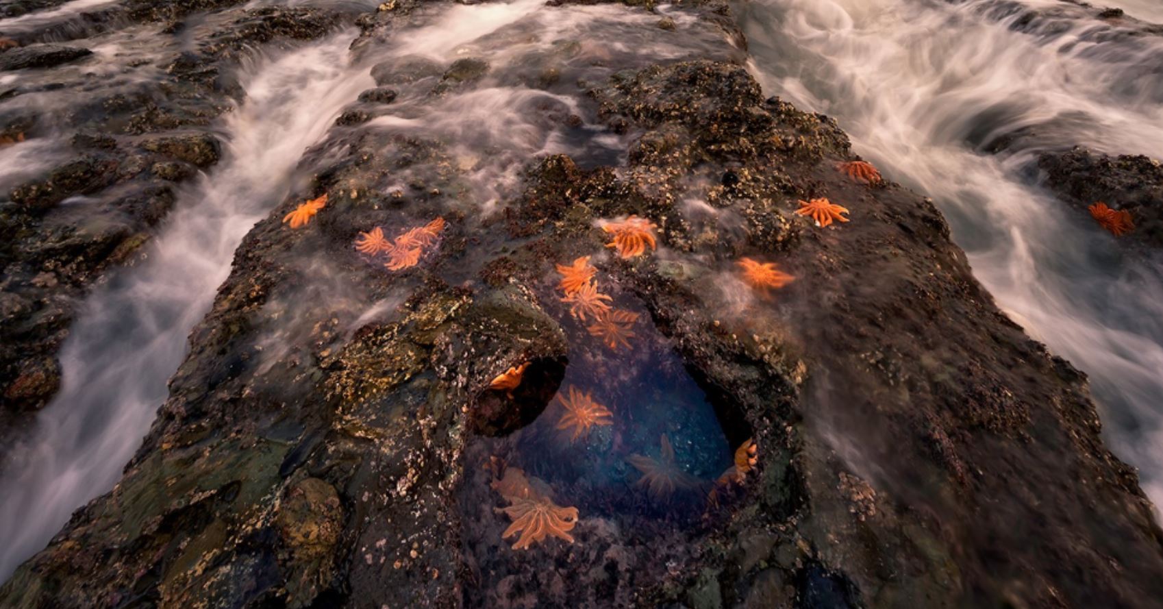 Sony announces finalists for the 2023 Sony Alpha Awards - Impulse Gamer