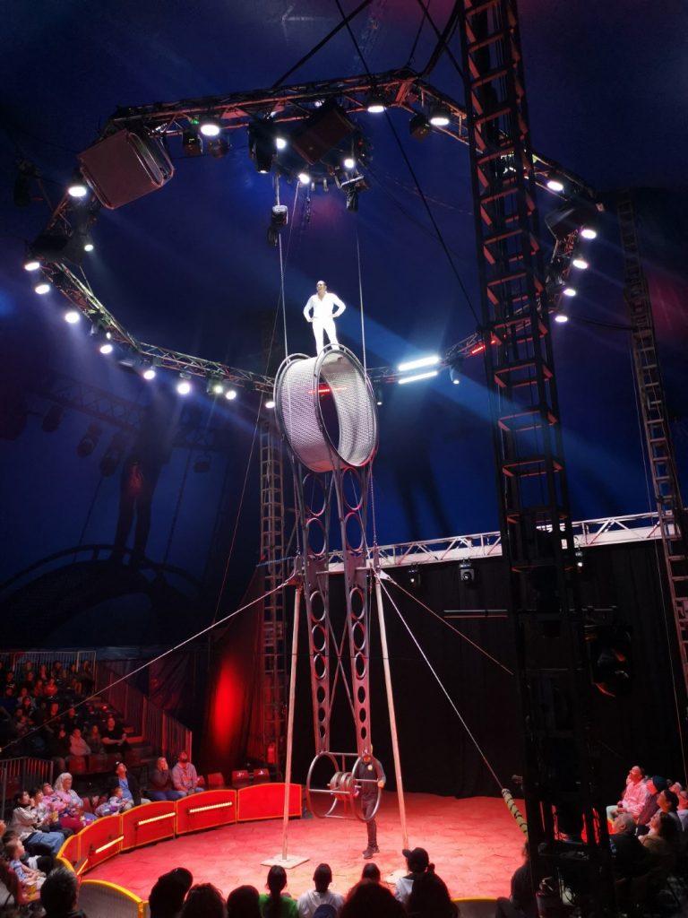 The Great Moscow Circus Review (Geelong 2024) - Impulse Gamer