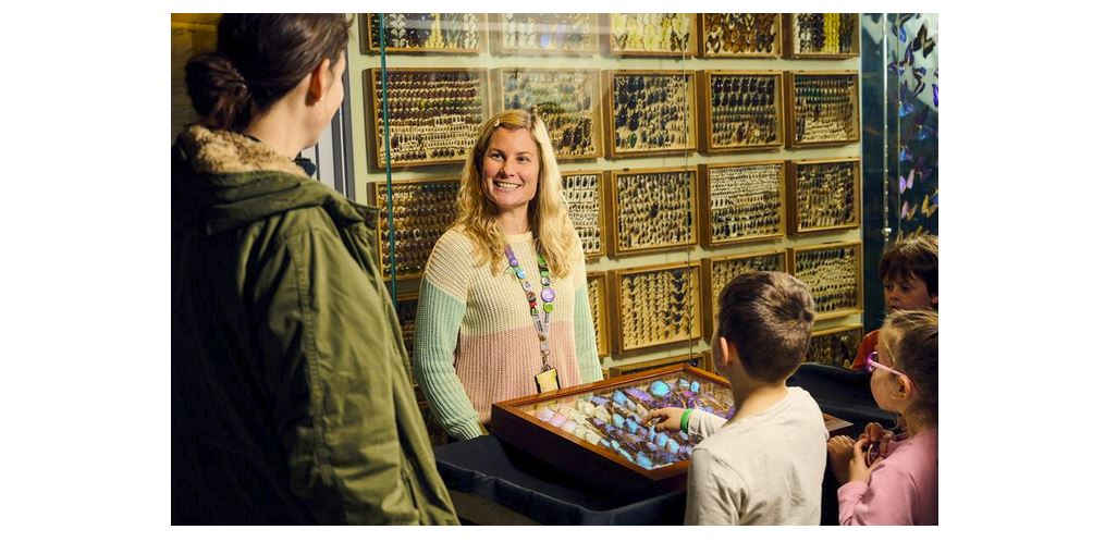 EXPAND YOUR UNIVERSE WITH NATIONAL SCIENCE WEEK AT MUSEUMS VICTORIA ...