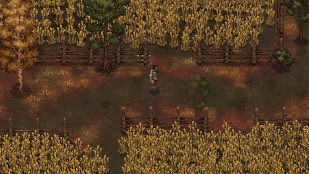 Drova - Forsaken Kin Review (Switch) - Impulse Gamer