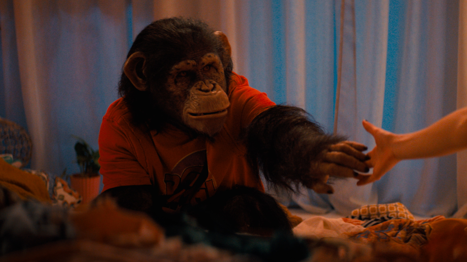 Primate - Film Review - Impulse Gamer