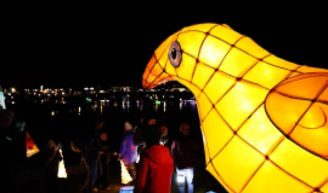 EAST GIPPSLAND WINTER FESTIVAL'S EPIC OPENER! - Impulse Gamer